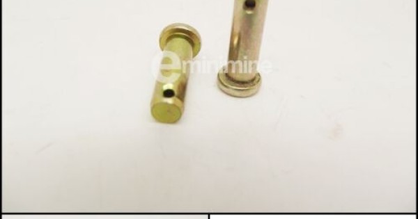 Door Check Strap Stay Arm Clevis Pin PAIR